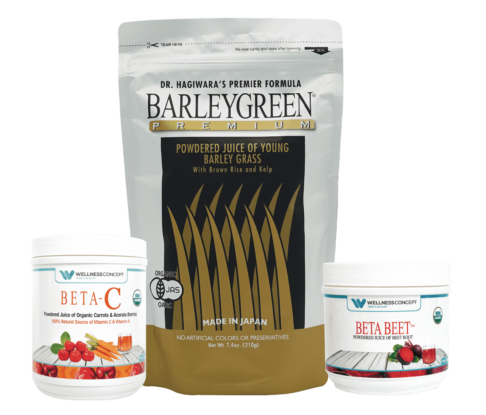 Functional Juicing Program - Wellness Concept